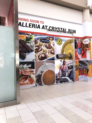 GALLERIA AT CRYSTAL RUN MALL - 44 Photos & 33 Reviews - 1 N Galleria Dr ...