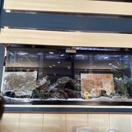 SHELLS SEAFOOD - TAMPA - Updated December 2025 - 723 Photos & 657 ...