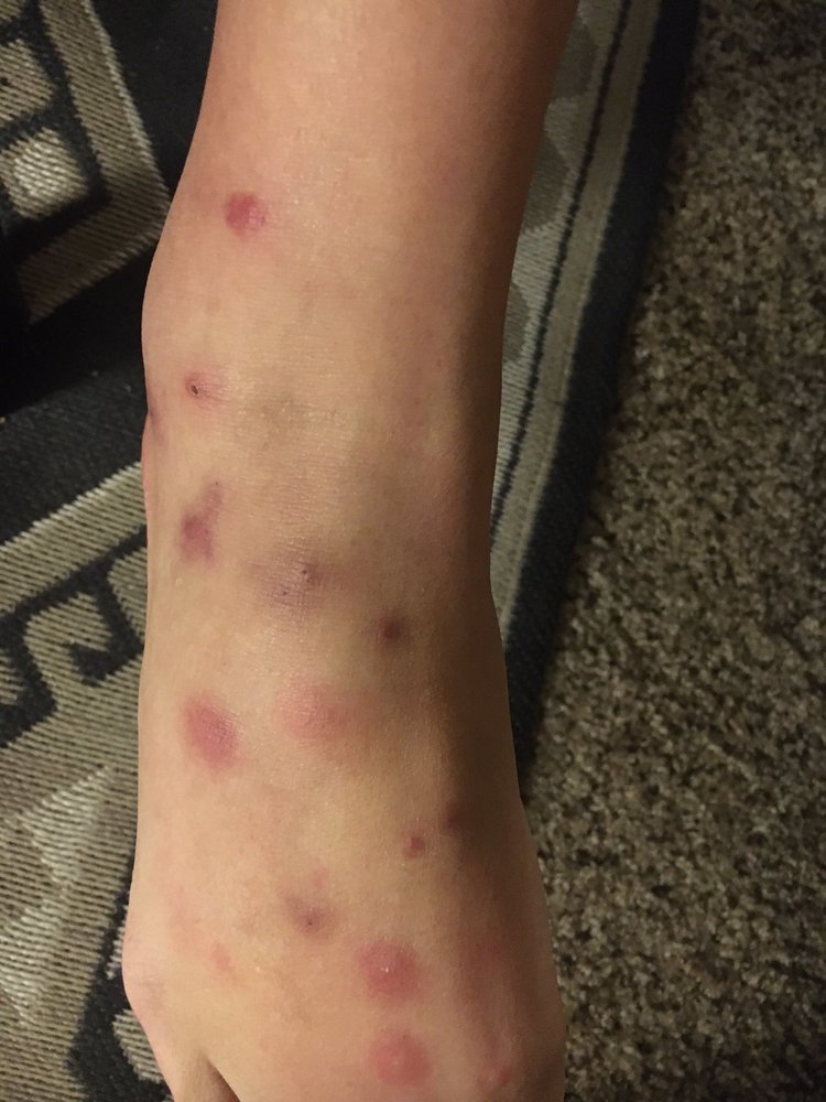 LINCOLN POINTE - Updated July 2025 - 40 Hutchinson Ave, Columbus, Ohio ...