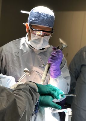 SEAN RAJAEE - HIP AND KNEE SURGEON - Updated December 2025 - 40 Reviews ...