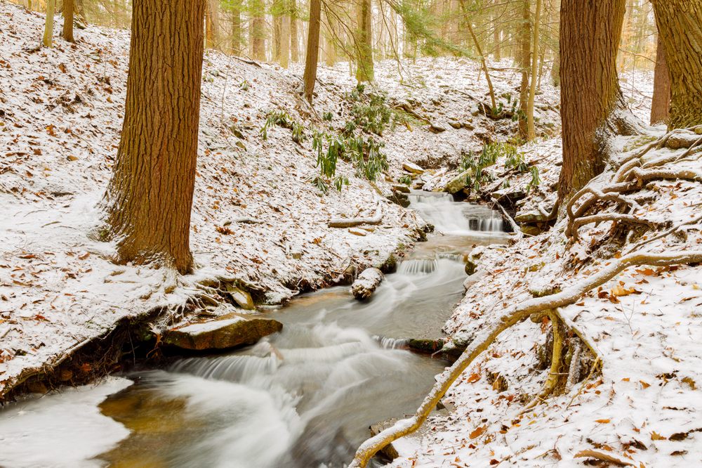 LINN RUN STATE PARK - Updated September 2025 - 82 Photos & 10 Reviews ...