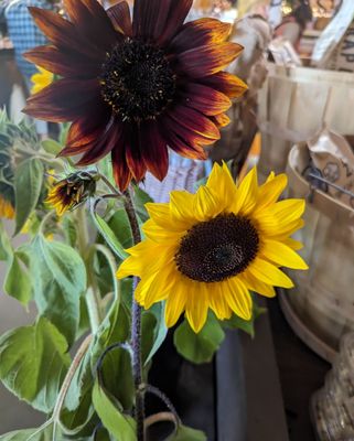 BOLTON SPRING FARM - Updated March 2025 - 66 Photos & 60 Reviews - 149 ...