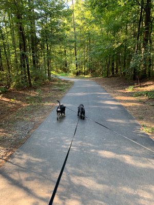 APEX COMMUNITY PARK - 172 Photos & 40 Reviews - Parks - 2200 Laura ...