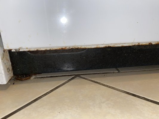 LOBOS MANAGEMENT - Updated May 2024 - 109 Photos & 191 Reviews - 233 ...