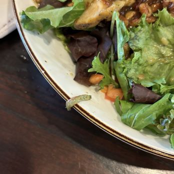 FIRST WATCH - Updated January 2025 - 560 Photos & 533 Reviews - 802 ...