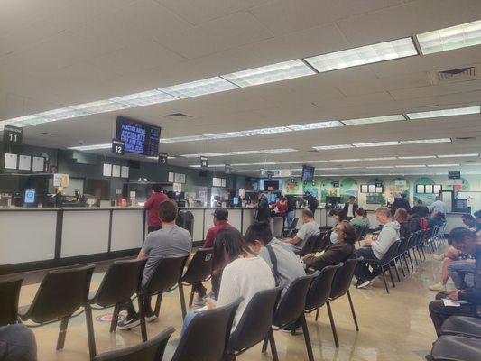 DMV REGISTRATION & FILING SERVICES - Updated January 2026 - 19 Photos ...