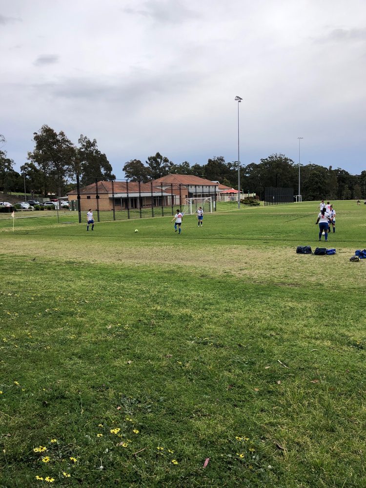 GEORGE THORNTON RESERVE - Hill Rd, West Pennant Hills New South Wales ...