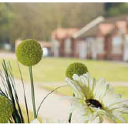 HESLEY GROUP - Hesley Hall Stripe Road, Doncaster, South Yorkshire ...