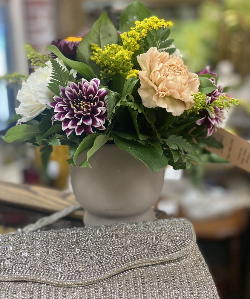 BARON DESIGN - Updated December 2025 - Request Information - 13 Photos ...