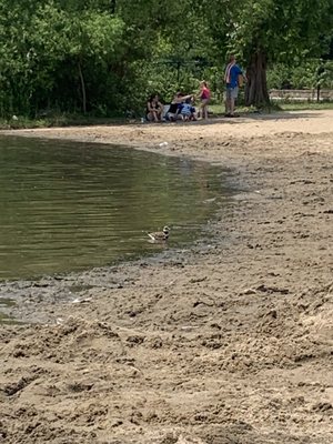 STEPHENS LAKE PARK - Updated May 2025 - 63 Photos & 19 Reviews - 2001 E ...