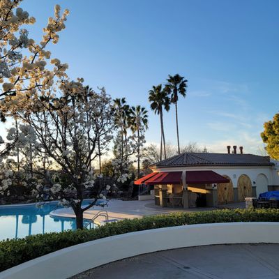 THE CLUB AT NATOMAS PARK - Updated March 2026 - 37 Photos & 20 Reviews ...