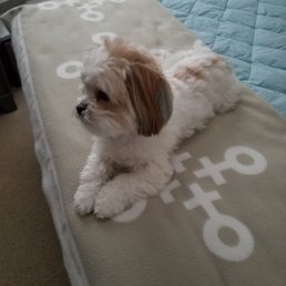 AJB POLISH DELI - Updated July 2025 - 15 Photos & 58 Reviews - 879 S Il ...