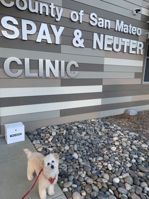 PENINSULA HUMANE SOCIETY & SPCA - Updated January 2025 - 81 Photos ...