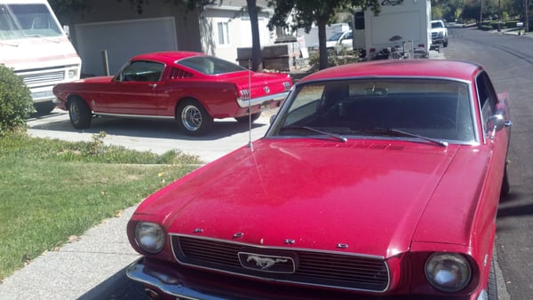 MOSTLY MUSTANGS - Updated December 2025 - 16 Photos & 40 Reviews - 2576 ...