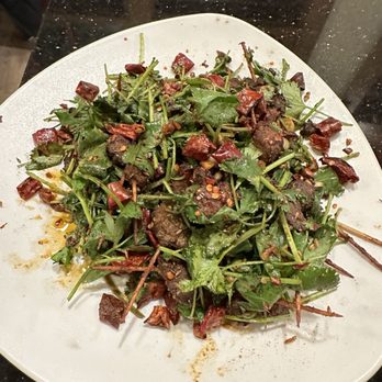 JADE DUMPLING & NOODLE HOUSE - Updated April 2025 - 174 Photos & 144 ...