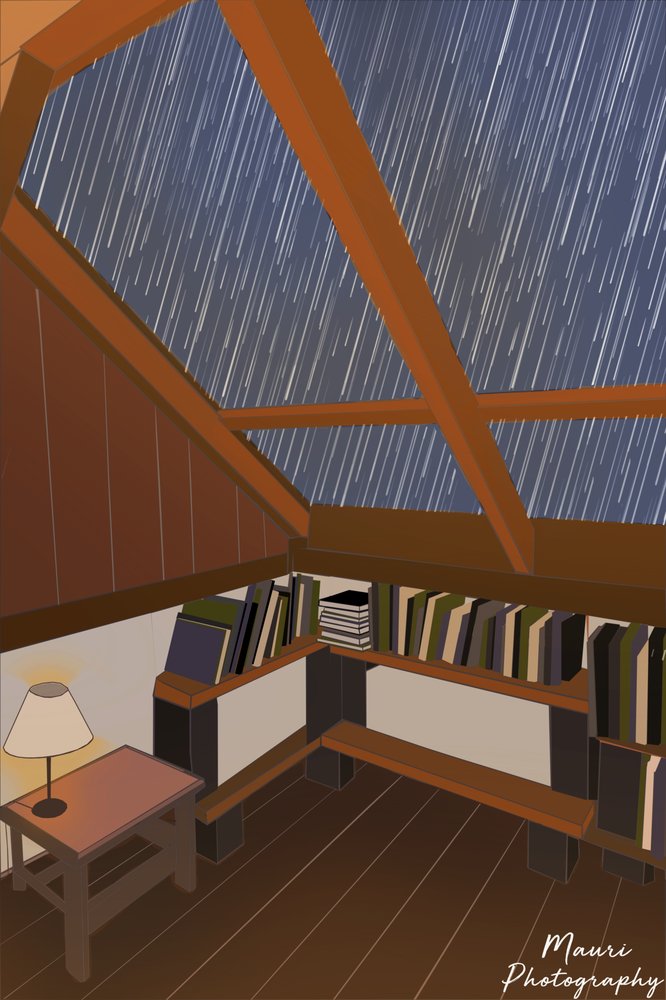 MAURI PHOTOGRAPHY - Updated February 2025 - 65 Photos - Spokane ...