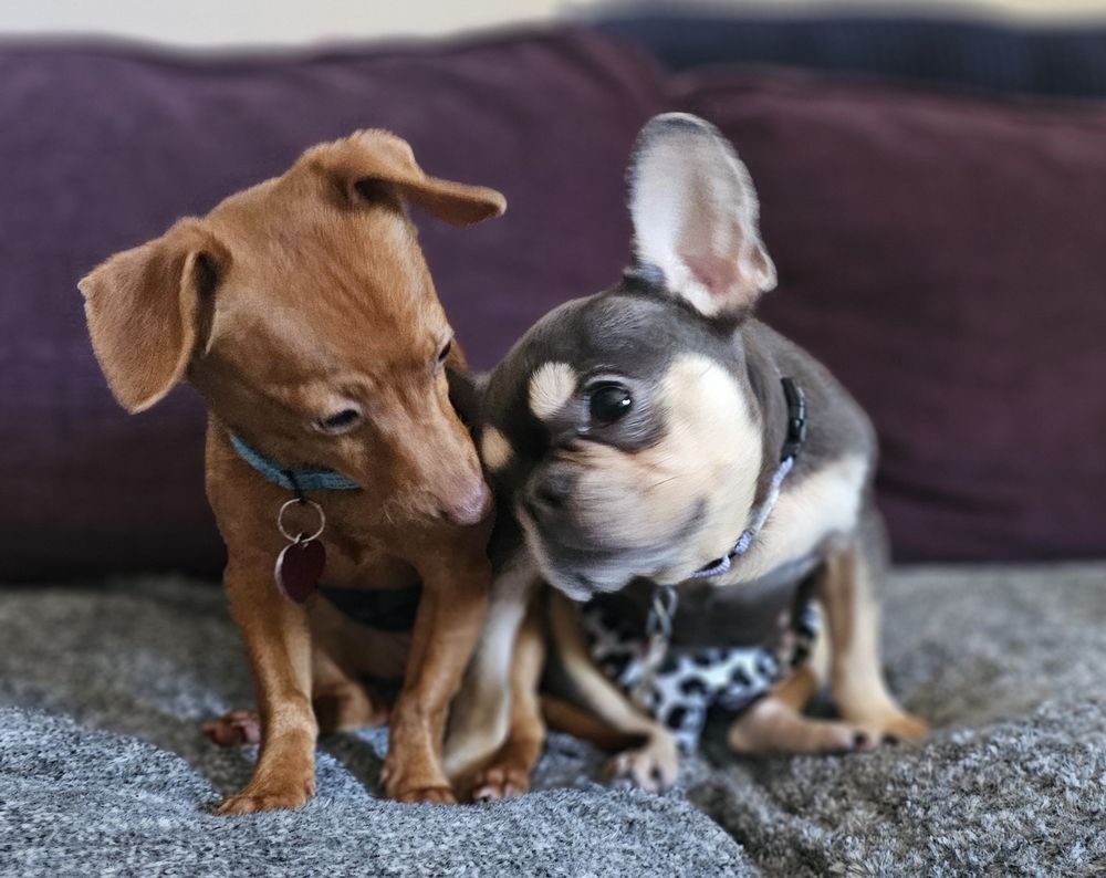 MILO FOUNDATION - Updated May 2025 - 258 Photos & 362 Reviews - 220 S ...