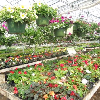 Flower Power Enfield Closing Down | Best Flower Site
