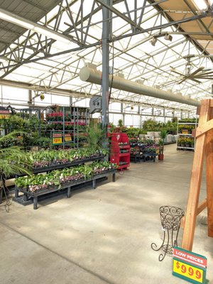 H E B PLUS - 100 Photos & 165 Reviews - 5401 S FM 1626, Kyle, TX - Yelp