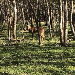 PICKRELL PARK - Updated August 2025 - 17 Photos - 200 Aero Ave, Schertz ...
