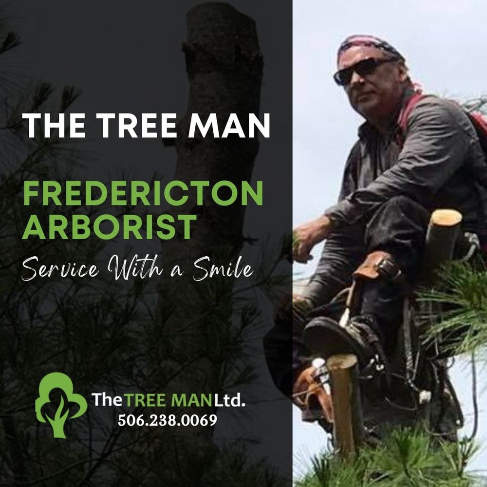 THE TREE MAN - 16 Photos - Fredericton, New Brunswick, Canada - Tree ...