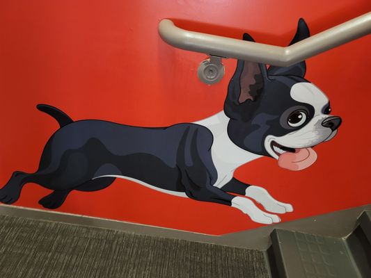 BU CAMPUS STORE - Updated January 2026 - 21 Photos & 60 Reviews - 910 ...