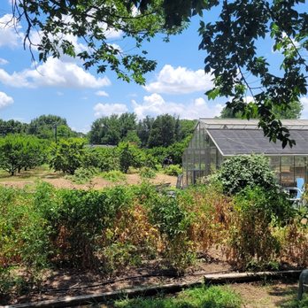 GEMINI PEACH AND ROSE FARM - Updated December 2025 - 25 Photos & 10 ...