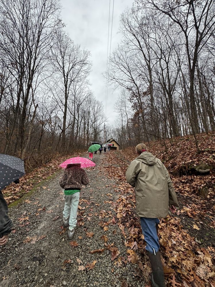 RUSTIC ROCK MAPLE FARM - Updated June 2025 - 199 Dutch Fork Church Rd ...