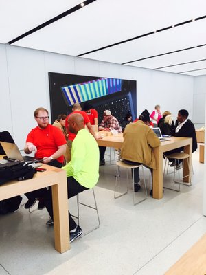 APPLE CLARENDON - Updated January 2026 - 55 Photos & 328 Reviews - 2700 ...