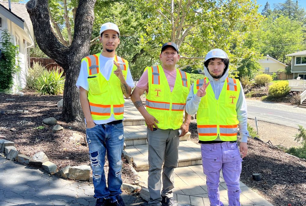 NEW LIFE TREE CARE - Updated October 2025 - 13 Photos & 25 Reviews ...