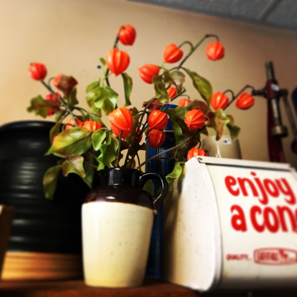 RUSTIC HENS - Updated June 2025 - 96 Photos - Easton, Pennsylvania ...