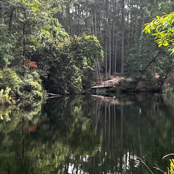 WOODSY HOLLOW CAMPGROUND - Updated February 2026 - 36 Photos - 248 ...