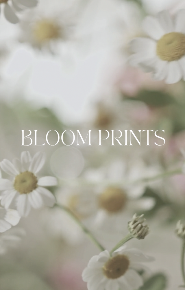 BLOOM PRINTS - Updated March 2025 - Chula Vista, California - Product ...