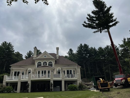 BALDI TREE - Updated December 2025 - 64 Photos - 403 Federal Furnace Rd ...