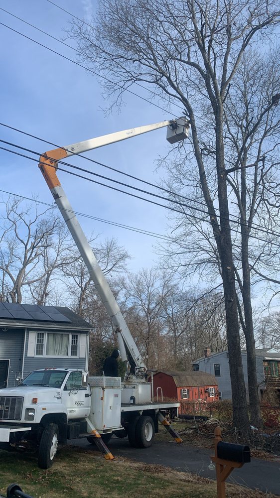 NO STO TREES - Updated March 2025 - Request a Quote - Stonington ...
