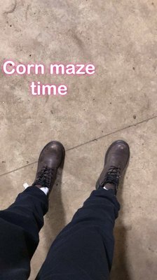 NEW SALEM CORN MAZE - Updated December 2025 - 4516 24th St, Dorr ...
