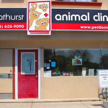 BATHURST ANIMAL HOSPITAL - Updated January 2026 - 46 Photos & 17 ...