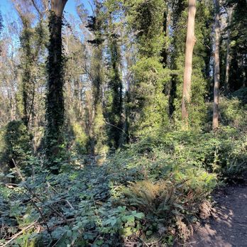 MOUNT SUTRO - Updated October 2025 - 426 Photos & 114 Reviews - Medical ...