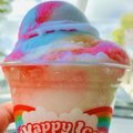 HAPPY ICE - Updated August 2025 - 679 Photos & 479 Reviews - 7324 ...