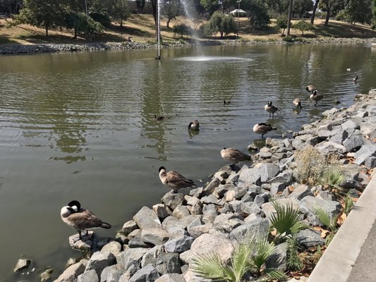 HOLLENBECK PARK - Updated June 2024 - 158 Photos & 43 Reviews - 415 S ...
