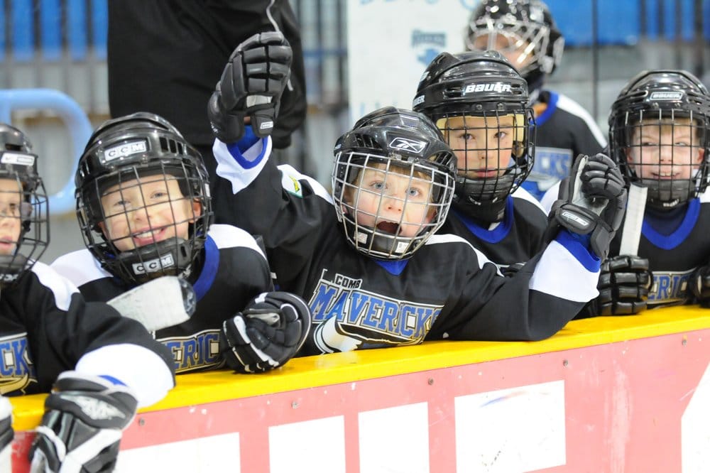 SUBURBAN ICE MACOMB LLC - Updated August 2025 - 11 Reviews - 54755 ...