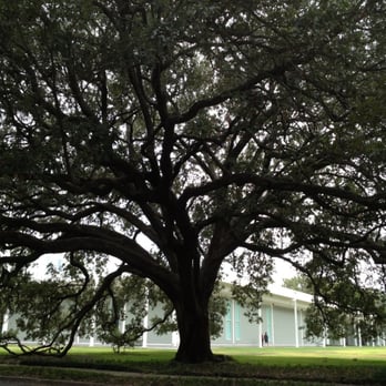 MENIL PARK - Updated November 2025 - 57 Photos & 40 Reviews - 1450 ...