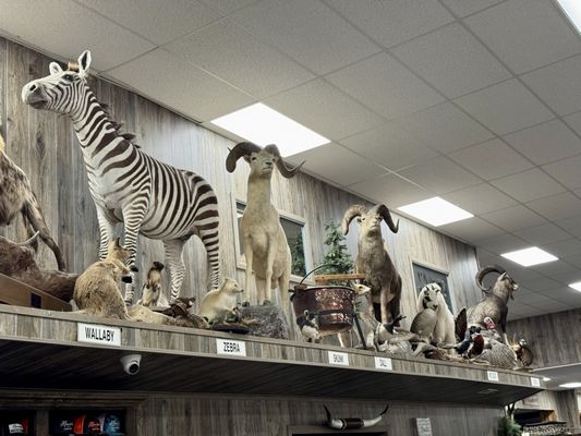 KLEINSCHIMDT’S WESTERN STORE - Updated April 2026 - 21 Photos & 33 ...