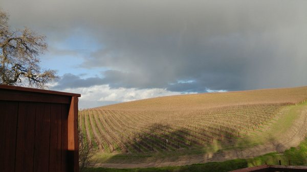 RIVER OAKS HOT SPRINGS SPA - 239 Photos & 305 Reviews - Day Spas - 800 ...