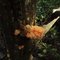 Calvert Cliffs State Park - Trusted Since 2007 - Updated July 2025 ...