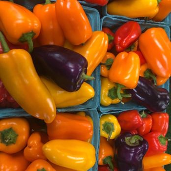 PATTERSON FRUIT FARM - Updated August 2024 - 195 Photos & 126 Reviews ...