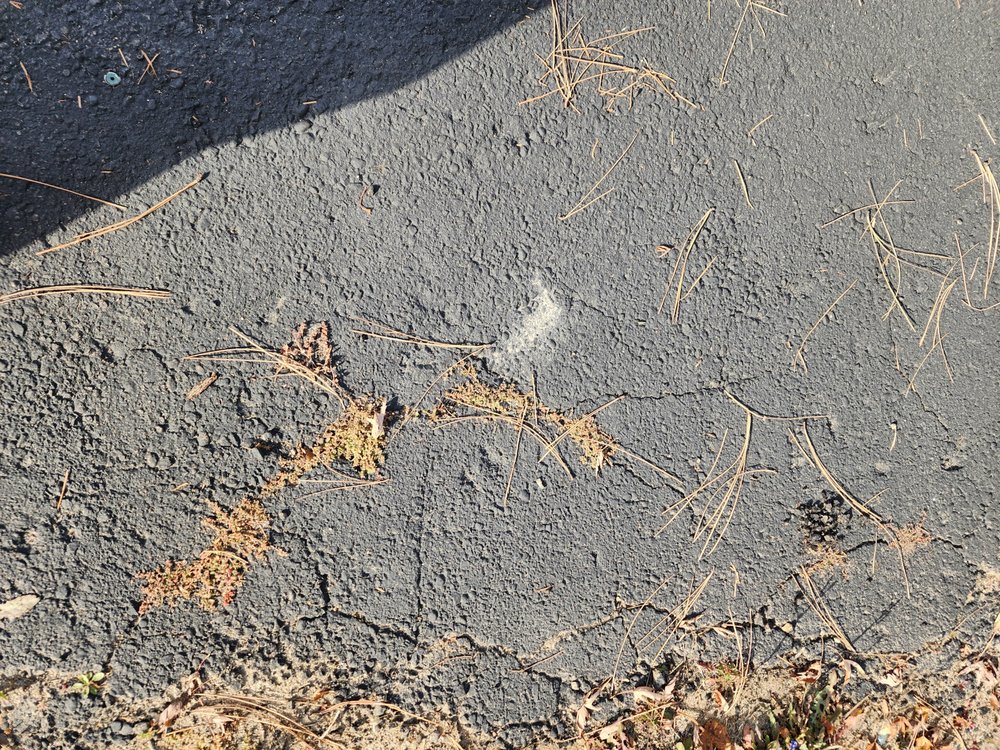 SLENDER PAVING - Updated July 2025 - 13 Photos - Boise, Idaho - Masonry ...