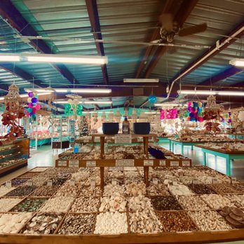 THE SHELL SHOP - Updated July 2024 - 191 Photos & 127 Reviews - 590 ...