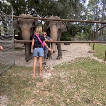 TWO TAILS RANCH - Updated December 2025 - 125 Photos & 94 Reviews ...