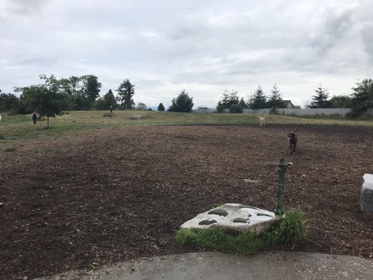 ACE OF HEARTS ROTARY DOG PARK - Updated September 2025 - 3901 H Ave ...